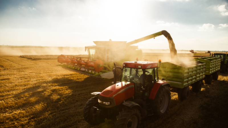THE IMPORTANCE OF CAPITAL IN FARMING VaMudhumeni