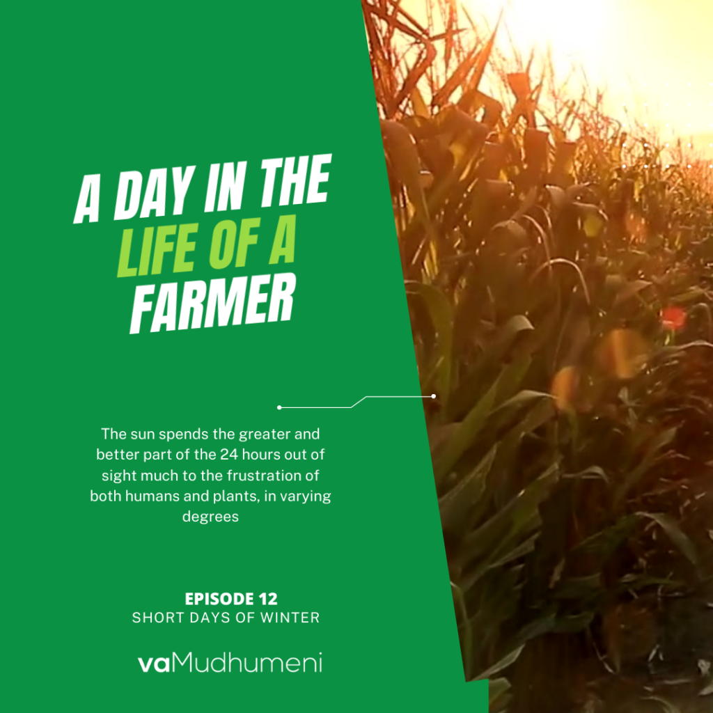 SHORT DAYS OF WINTER – vaMudhumeni